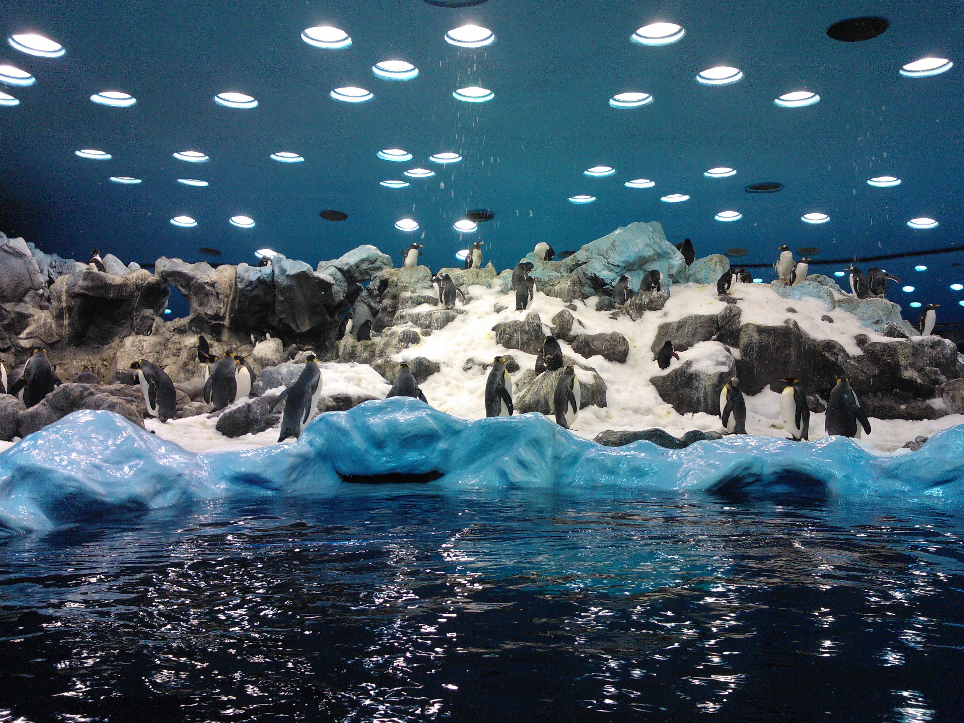 Entradas para el Loro Parque-Zoológicos-Disfrutare